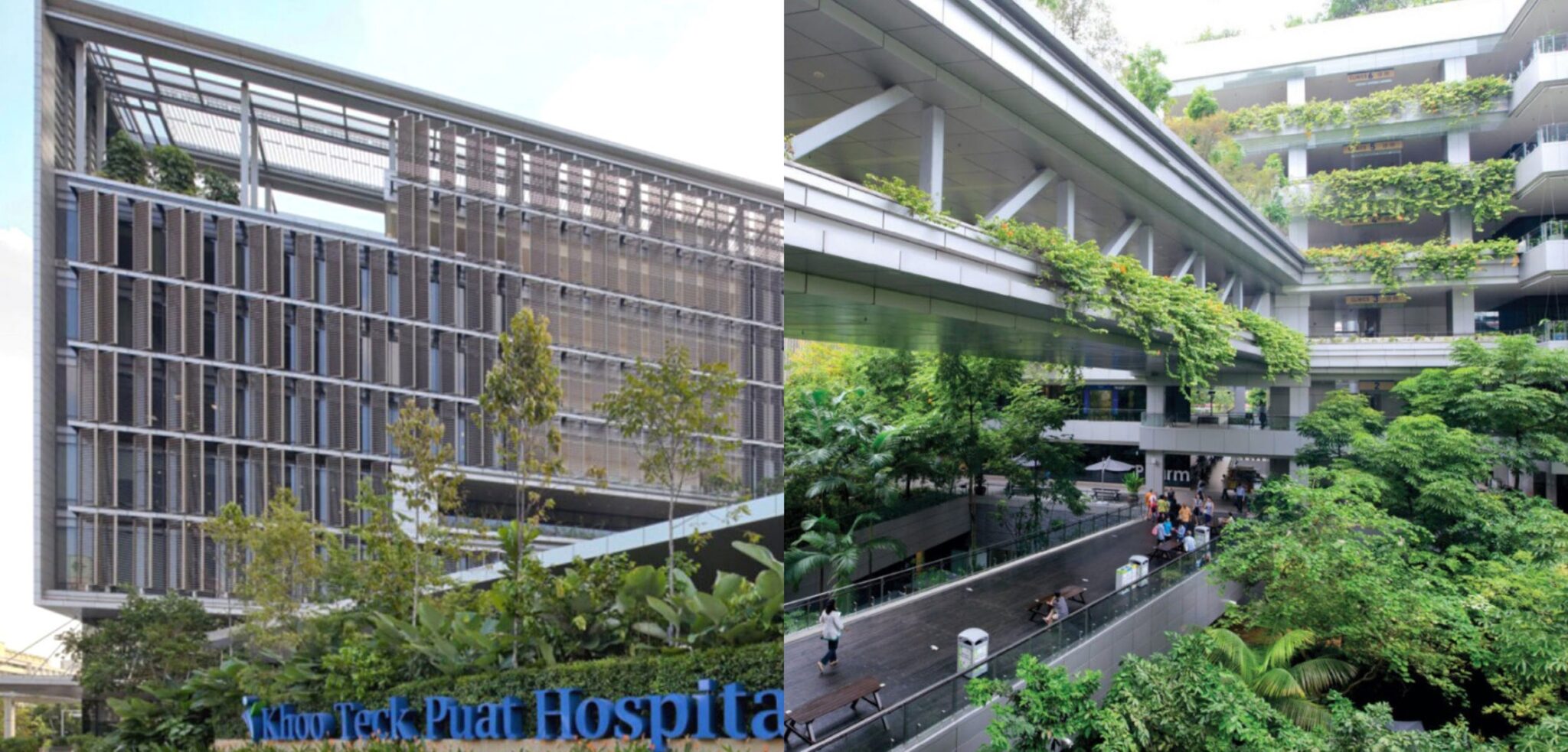 The Rise of Biophilic Design: How It Is Reshaping Urban Architecture ...
