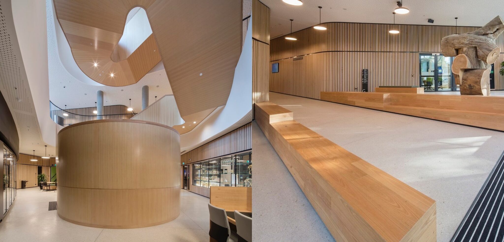 The Rise of Biophilic Design: How It Is Reshaping Urban Architecture ...