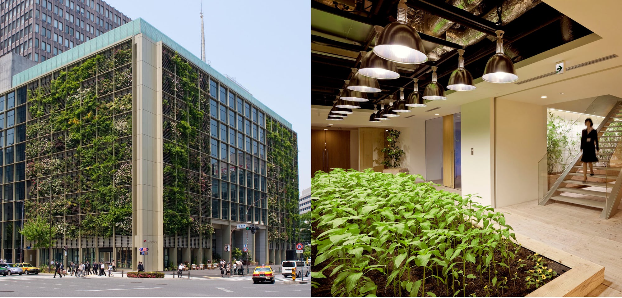 The Rise of Biophilic Design: How It Is Reshaping Urban Architecture ...